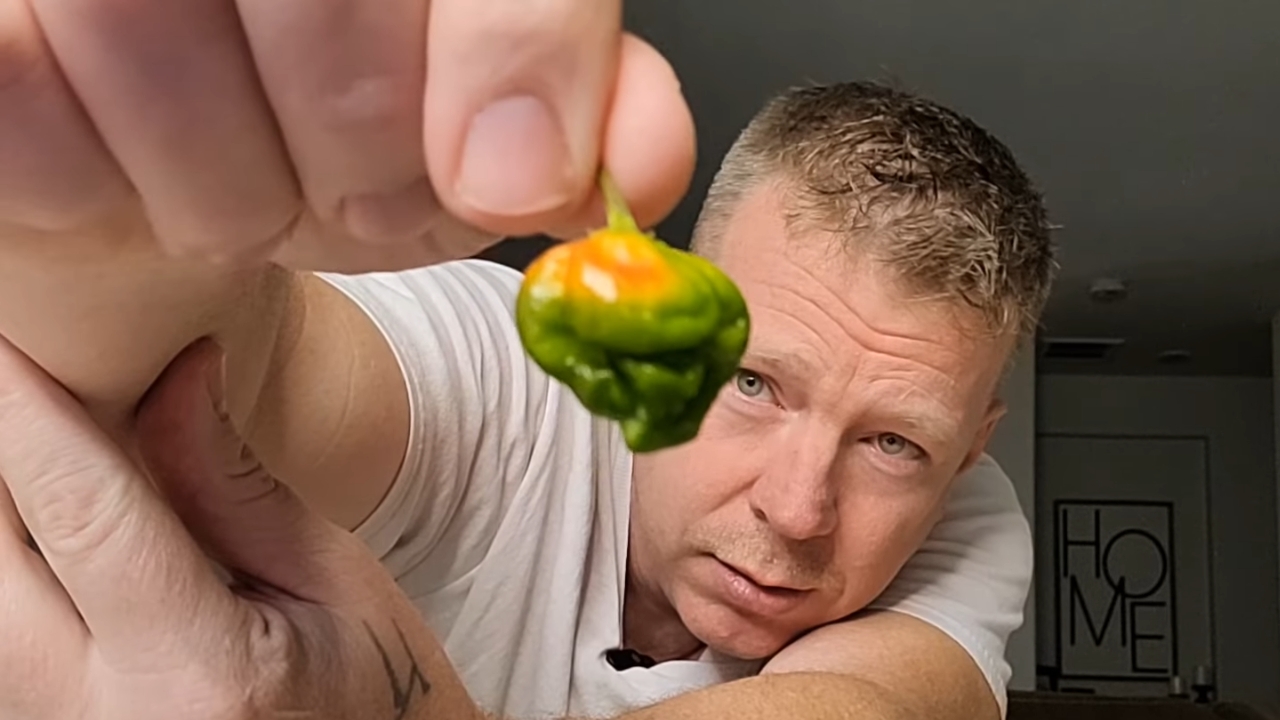 What Makes Pepper X the Hottest Chili on Earth? - Smokin Joes Rib Ranch